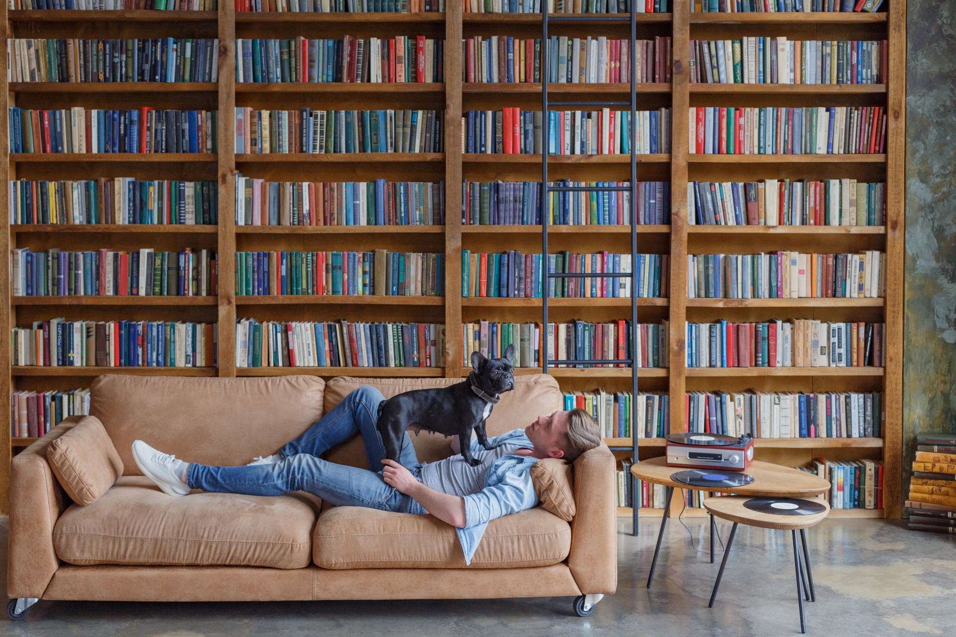 BookLive!とRenta!を4つの項目で徹底比較！ | 電子コミックおすすめガイド